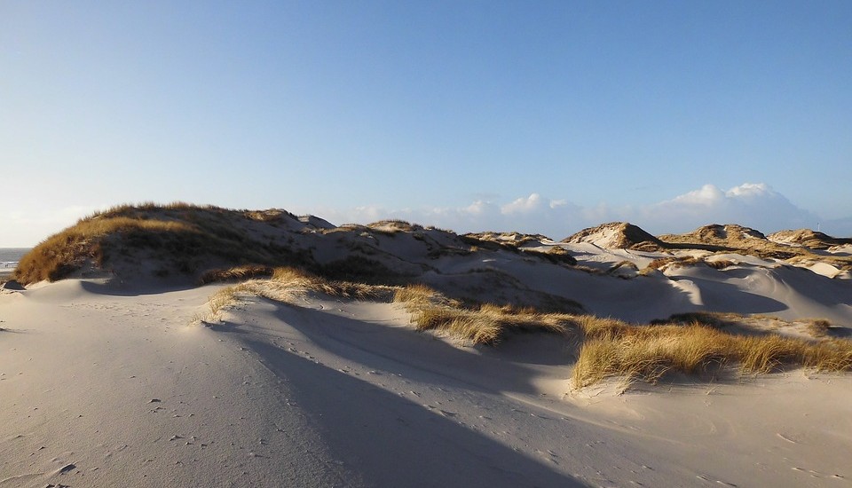 Amrum Reisen - günstig Urlaub in Nordfriesland buchen!