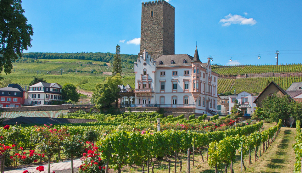 Rheingau Reisen - Urlaub inmitten der Weinberge buchen
